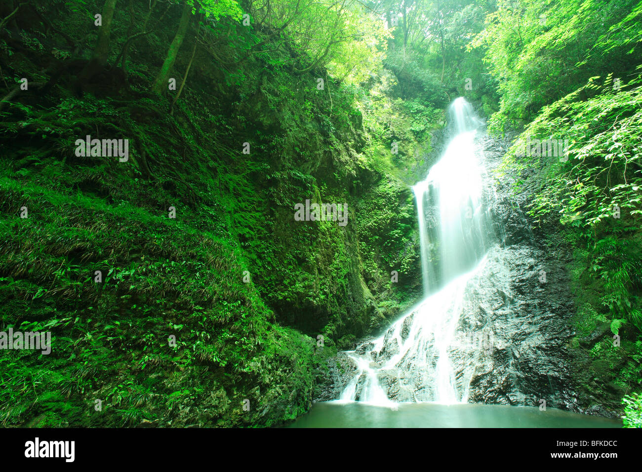 Waterfall in Green Forest Stock Photo - Alamy