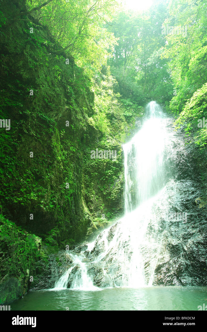 Waterfall in Green Forest Stock Photo - Alamy