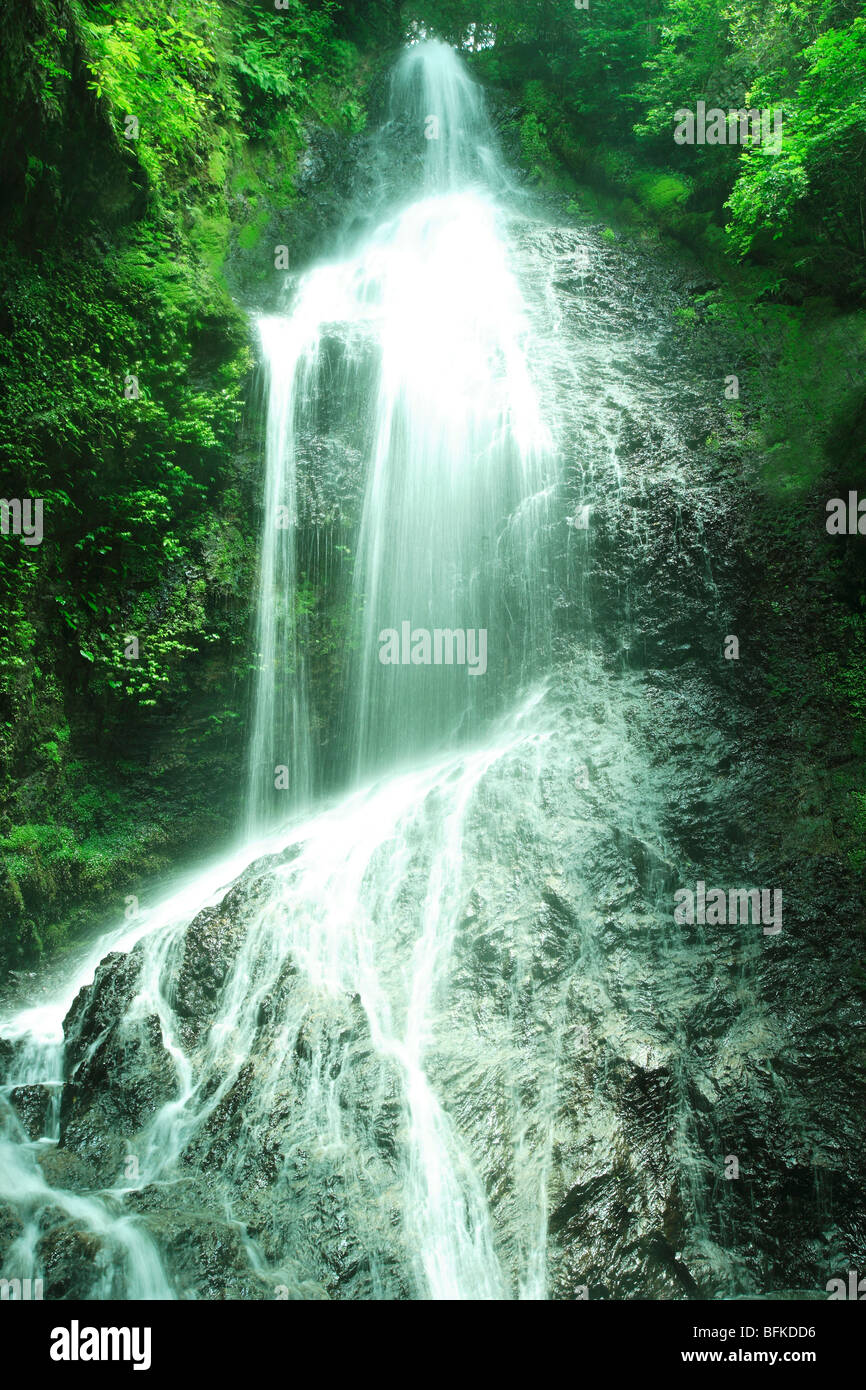 Waterfall in Green Forest Stock Photo - Alamy