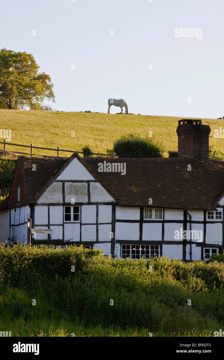 Sutton abinger hi-res stock photography and images - Alamy