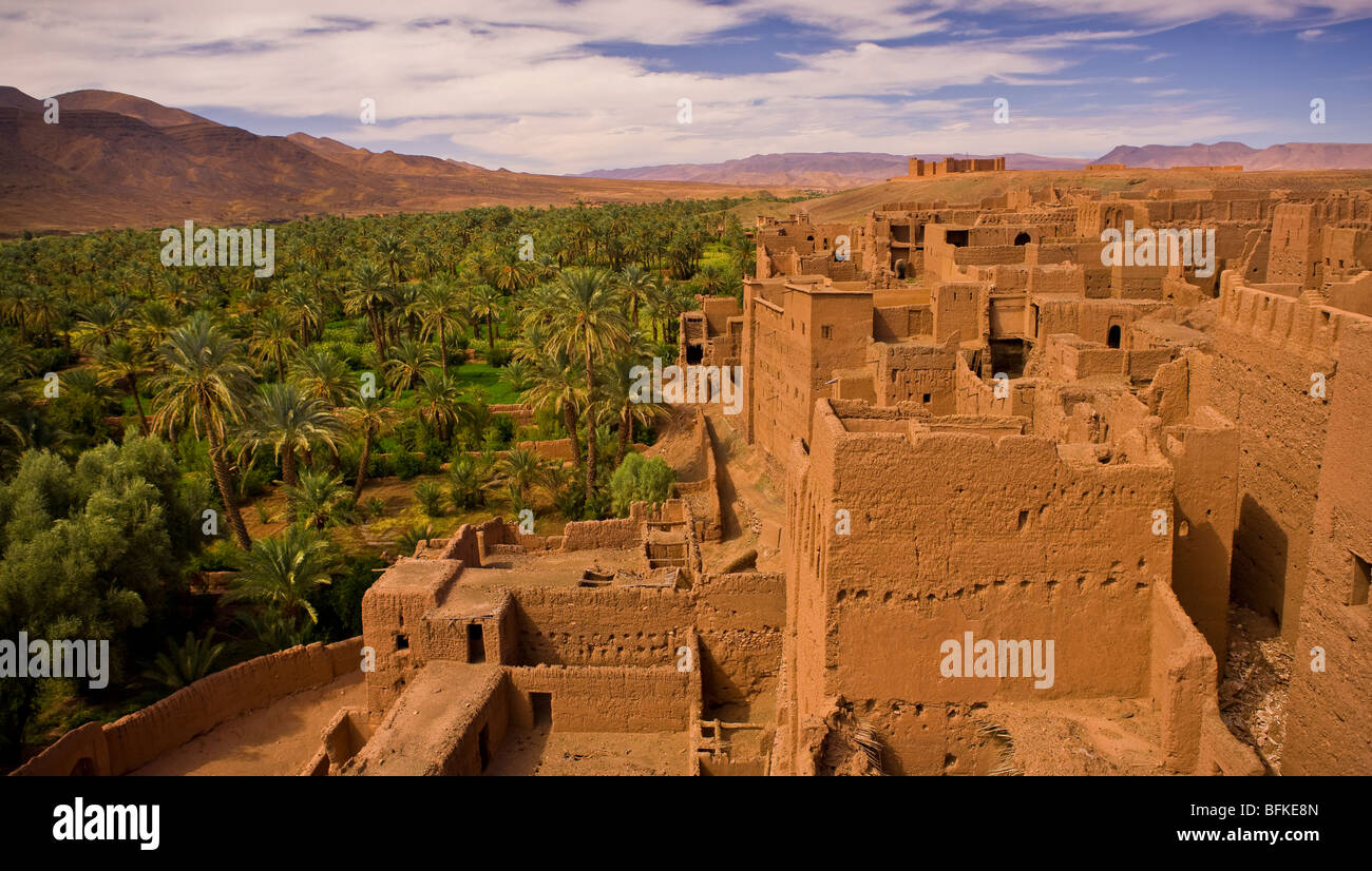 Oasis in morocco hi-res stock photography and images - Alamy