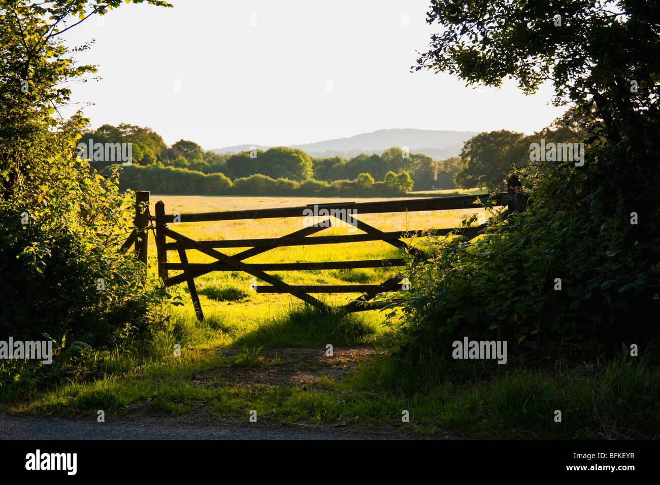 Broken gate hi-res stock photography and images - Alamy
