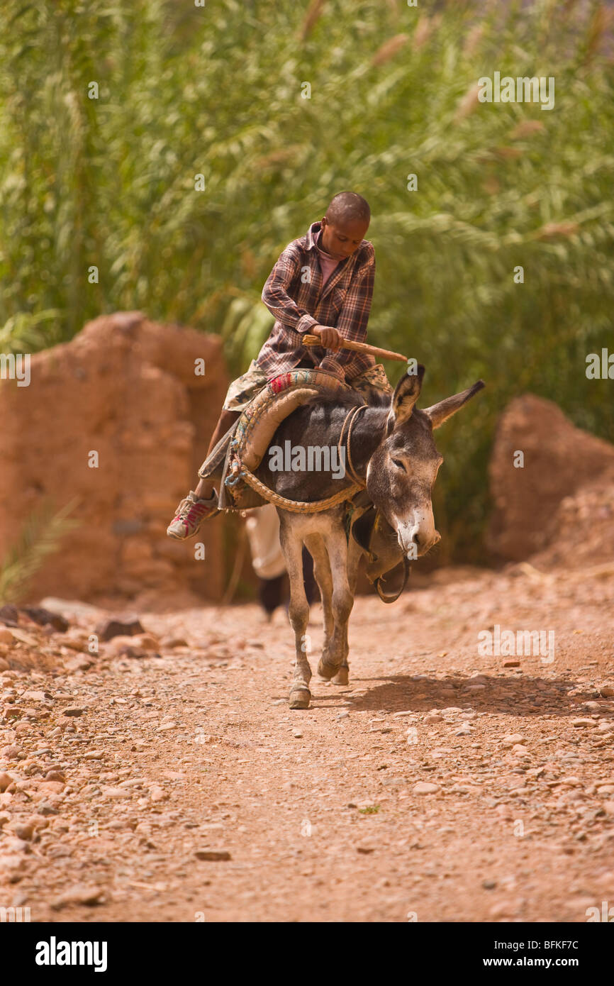 Boy riding donkey hi-res stock photography and images - Alamy