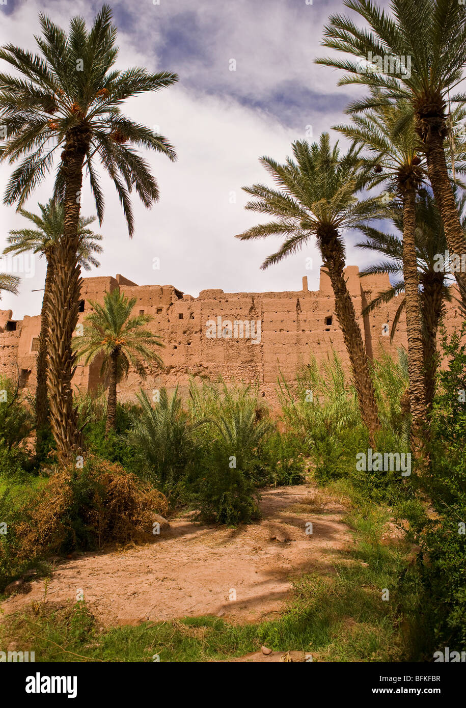 AGDZ, MOROCCO - Tamnougalt kasbah and palm trees, in the Atlas ...