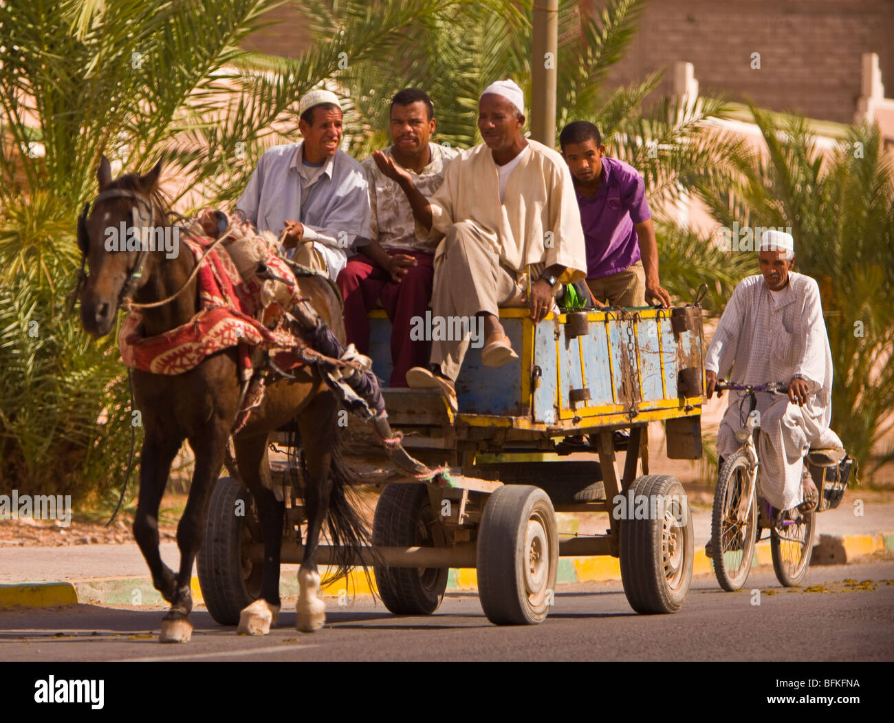 Man in horse drawn wagon hi-res stock photography and images - Alamy