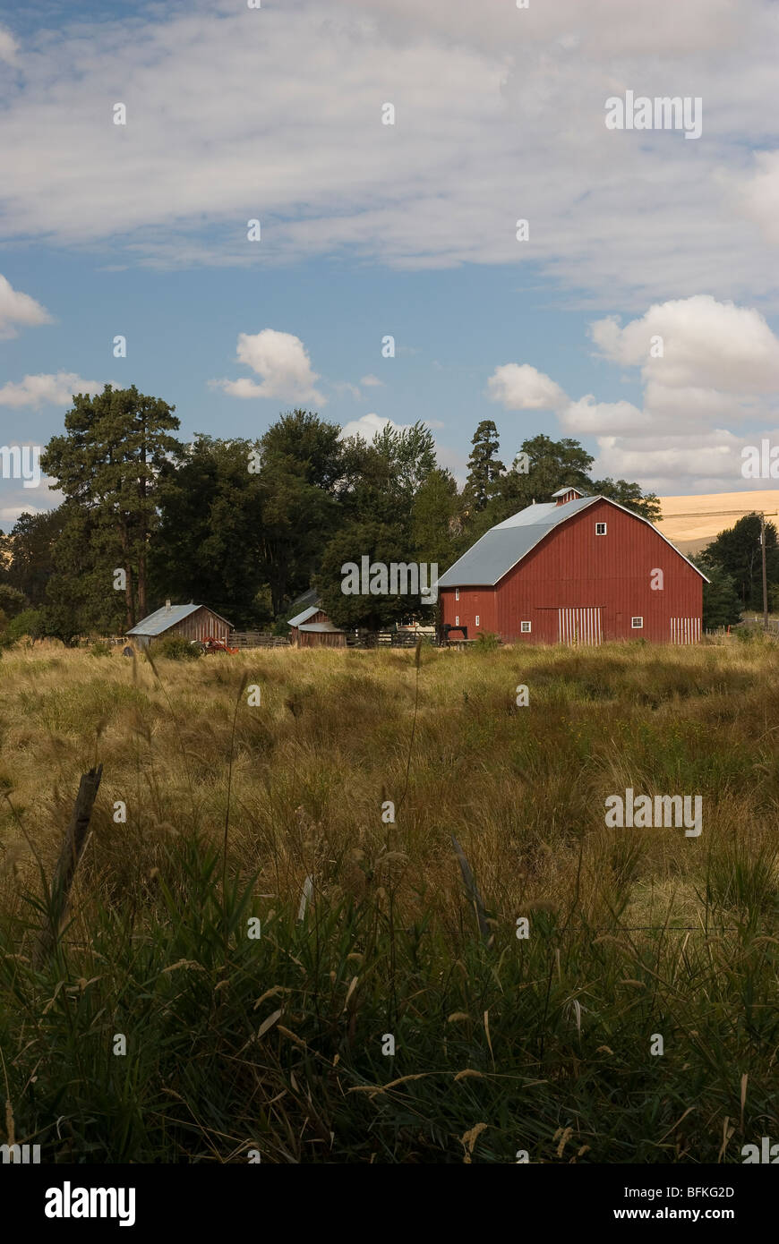 old fashioned red barn field of tall grass Stock Photo - Alamy