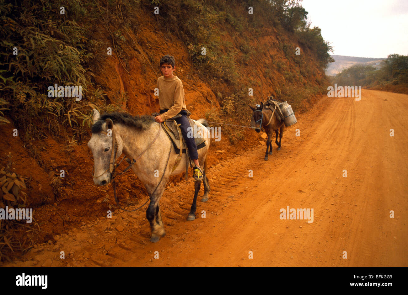 Rural brazil hi-res stock photography and images - Alamy
