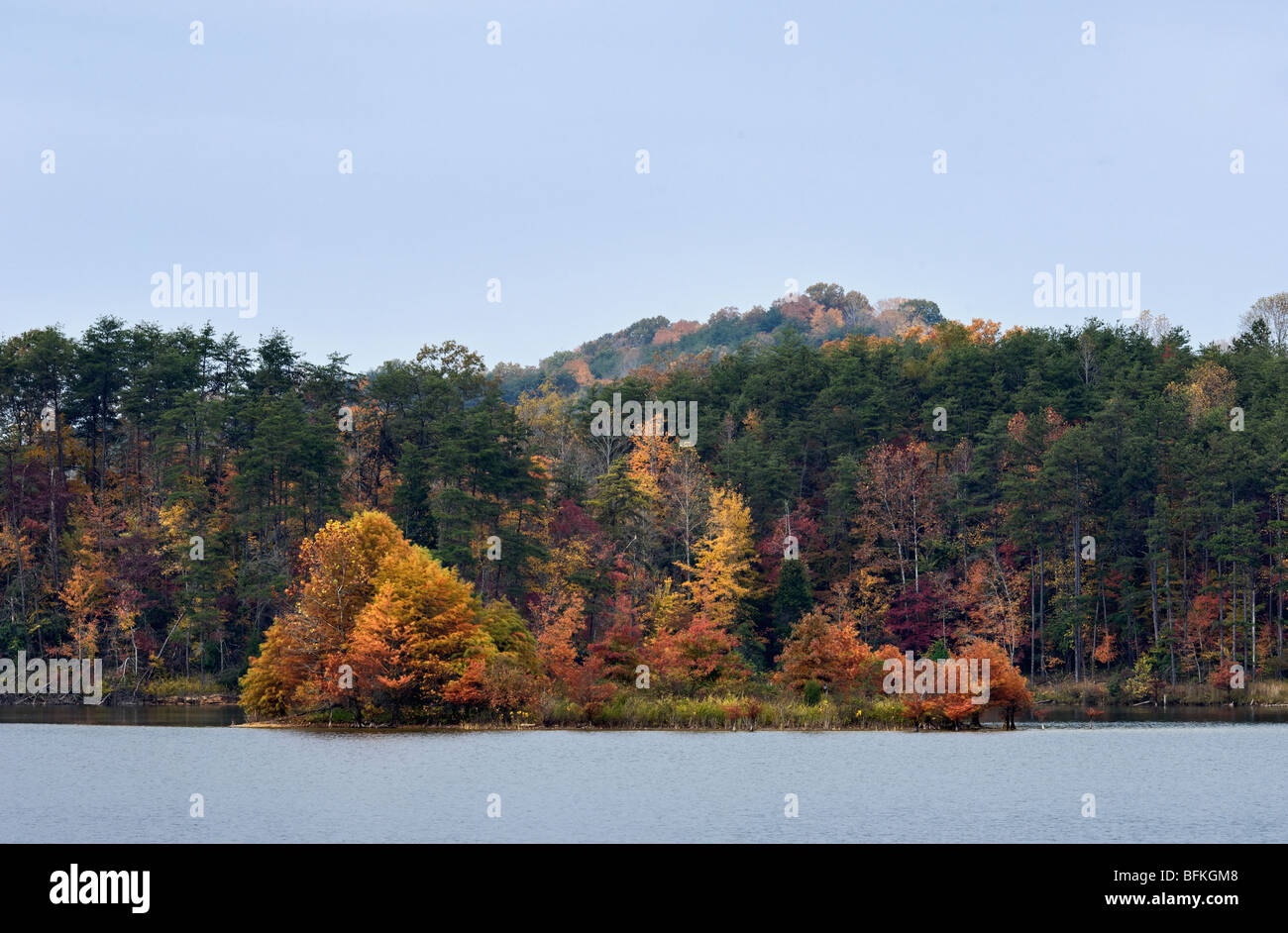 Small Island on Paintsville Lake Spotlighted by the Sun in Johnson ...
