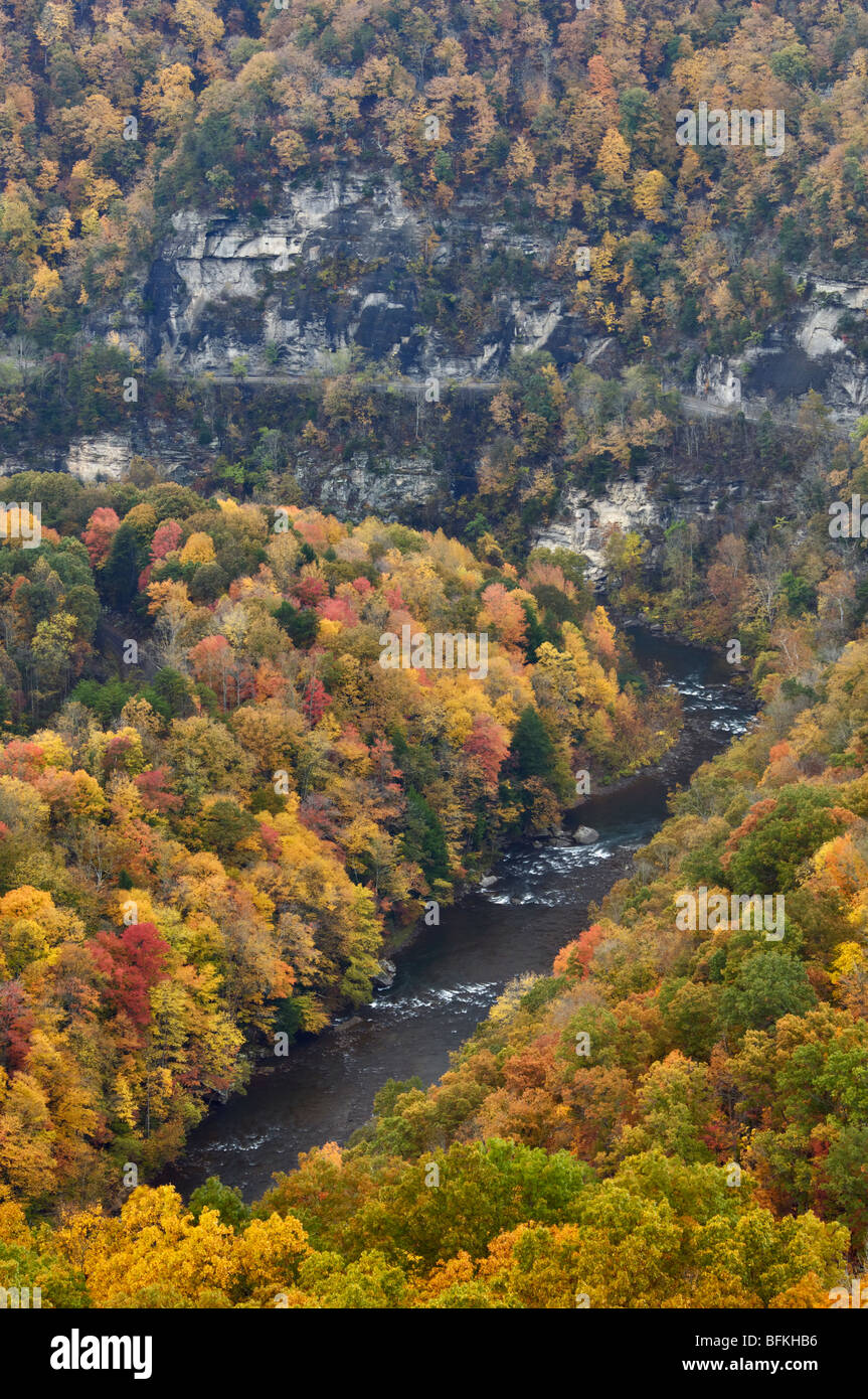 Autumn Color on the Russell Fork River in Breaks Interstate Park in ...