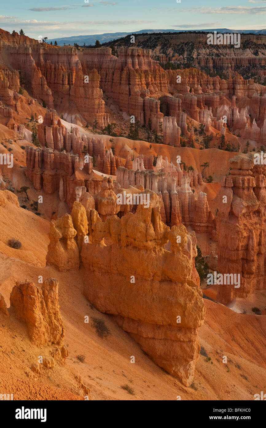 Bryce Canyon National Park Stock Photo - Alamy