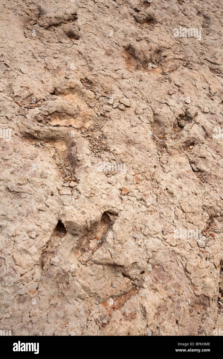 Dinosaur park formation hi-res stock photography and images - Alamy