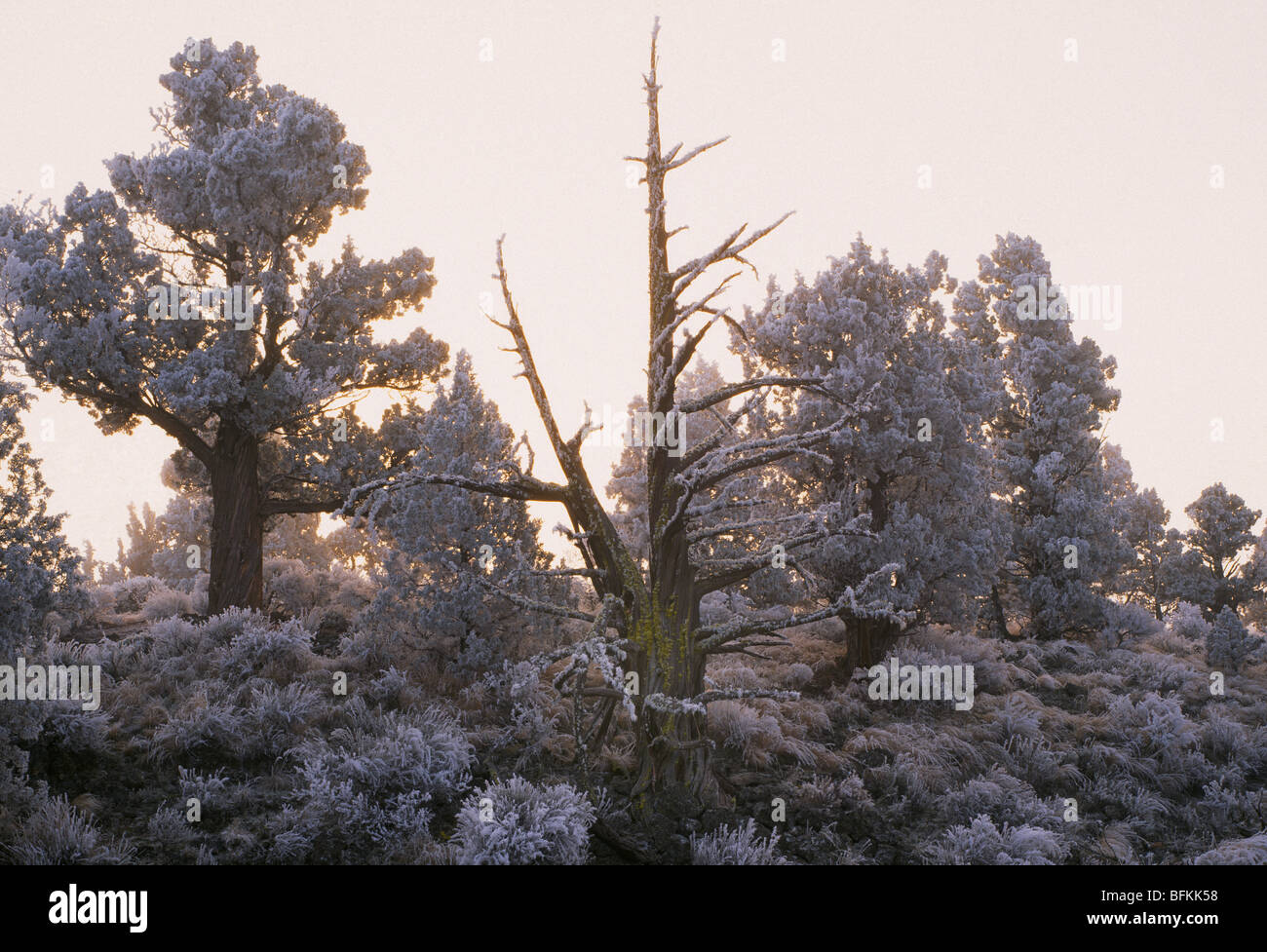 An ice storm in mid winter moves across the Badlands Wilderness near ...