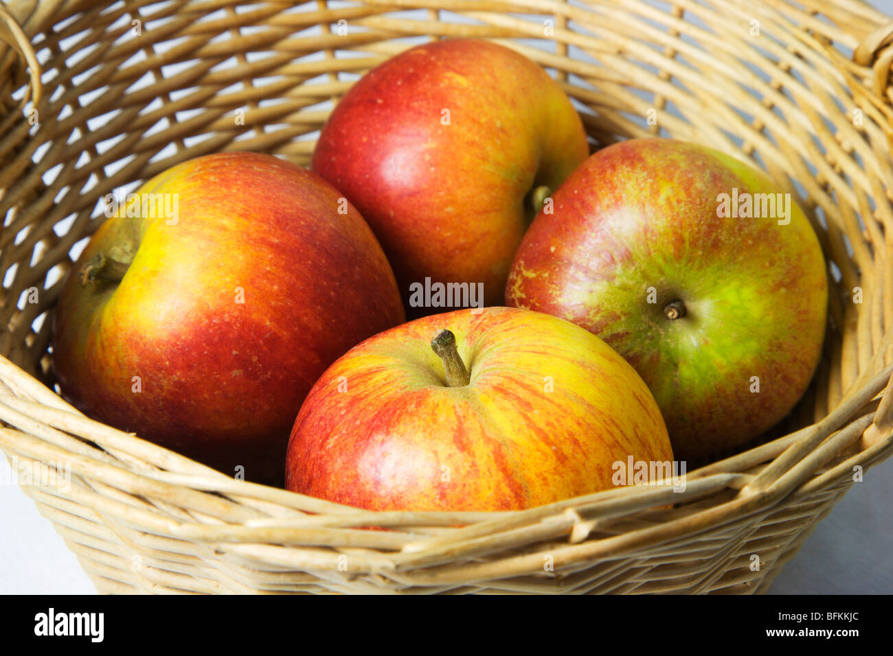 English cox hi-res stock photography and images - Alamy