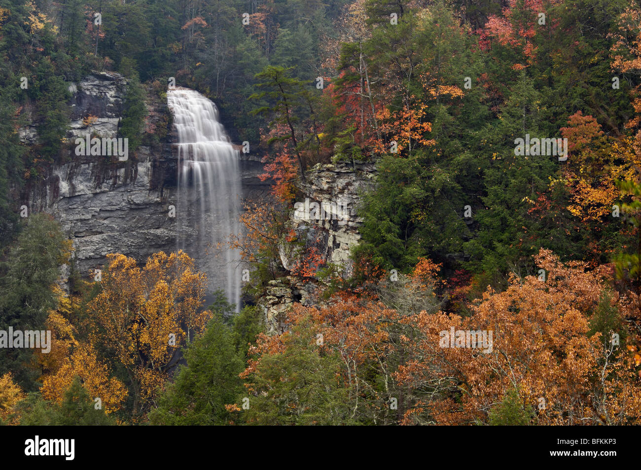 View of Fall Creek Falls and Autumn Color in Fall Creek Falls State ...