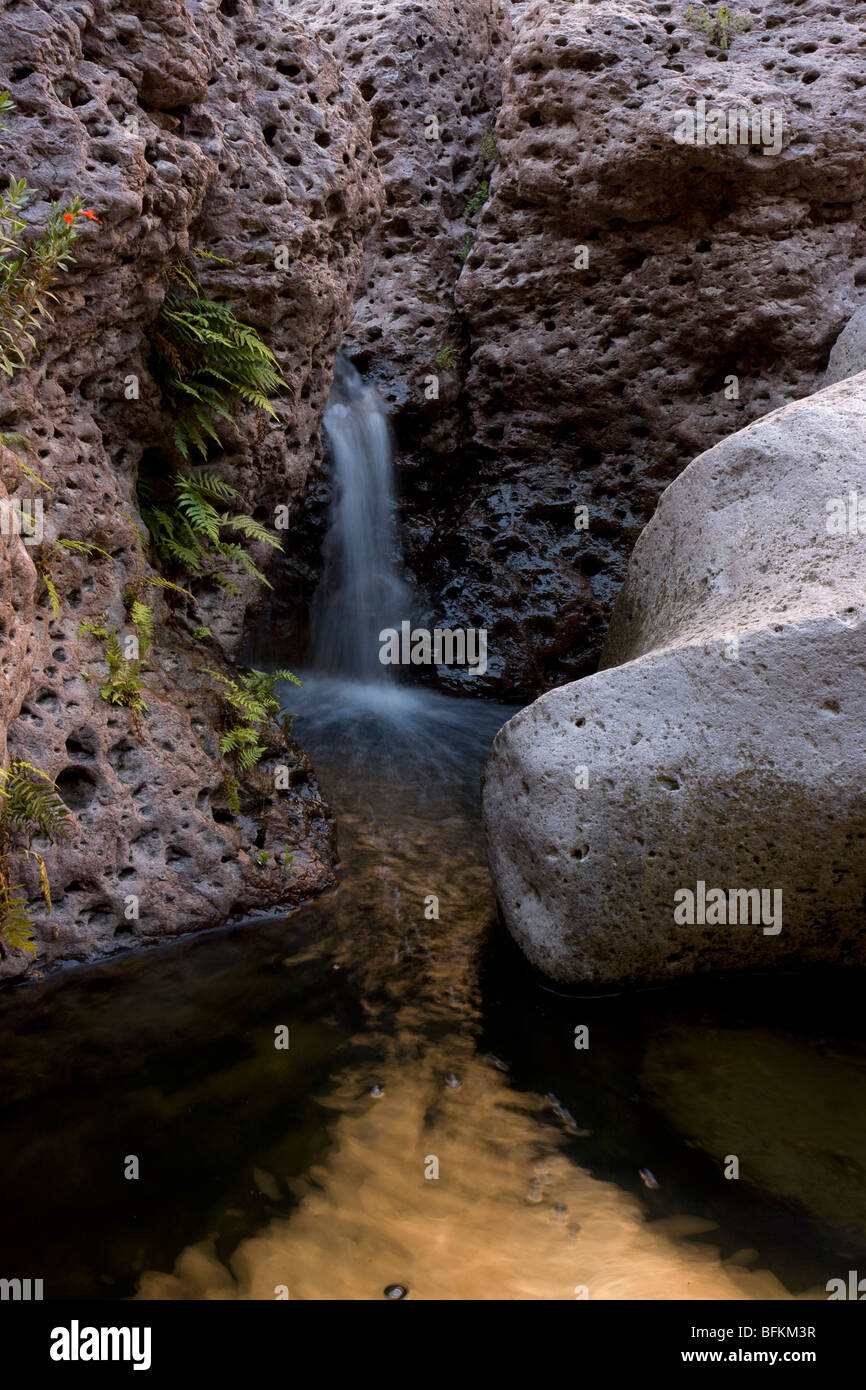 Aravaipa Canyon Wilderness - Waterfall and pool - Located about 50 ...