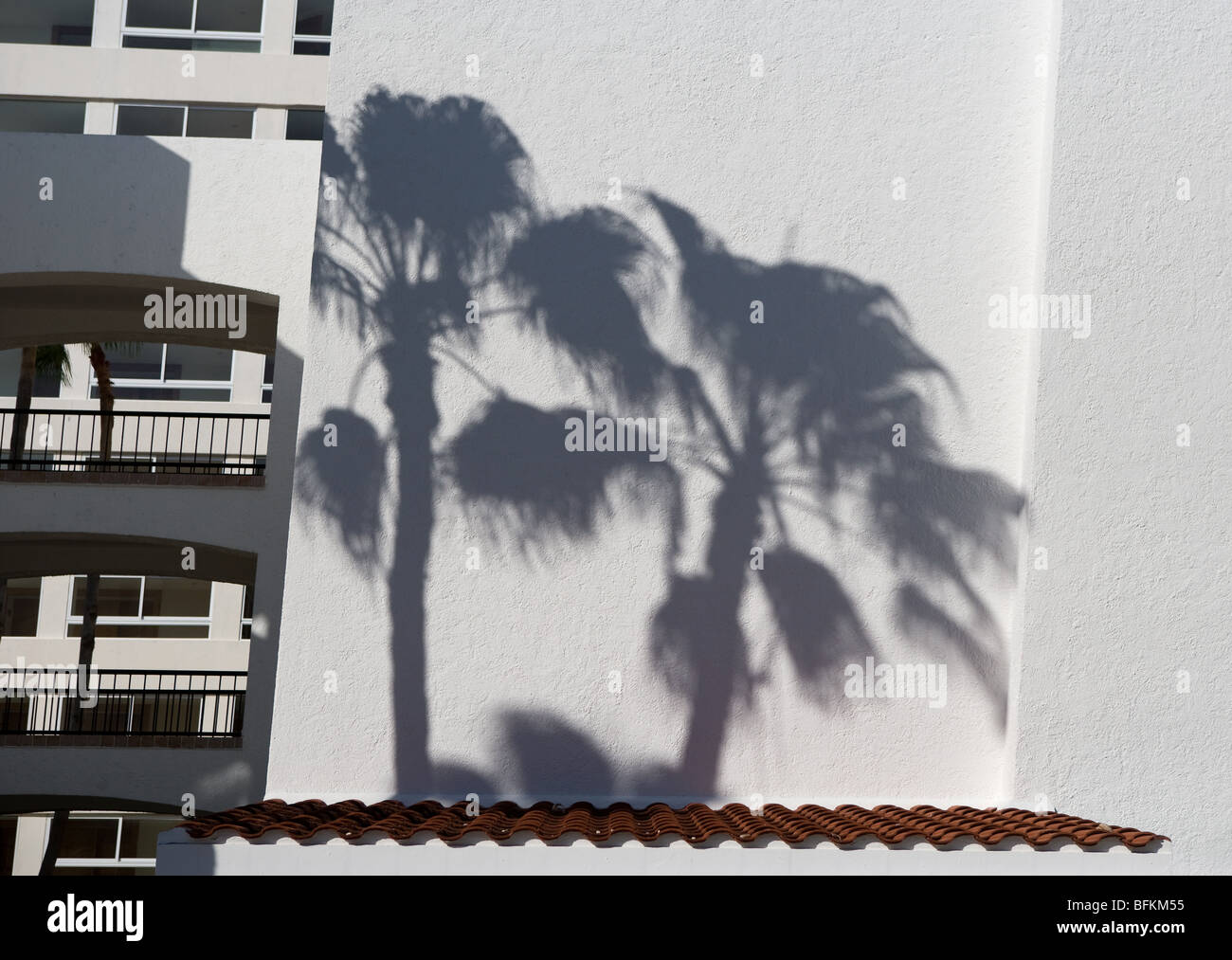 Shadow cast by trees hi-res stock photography and images - Alamy