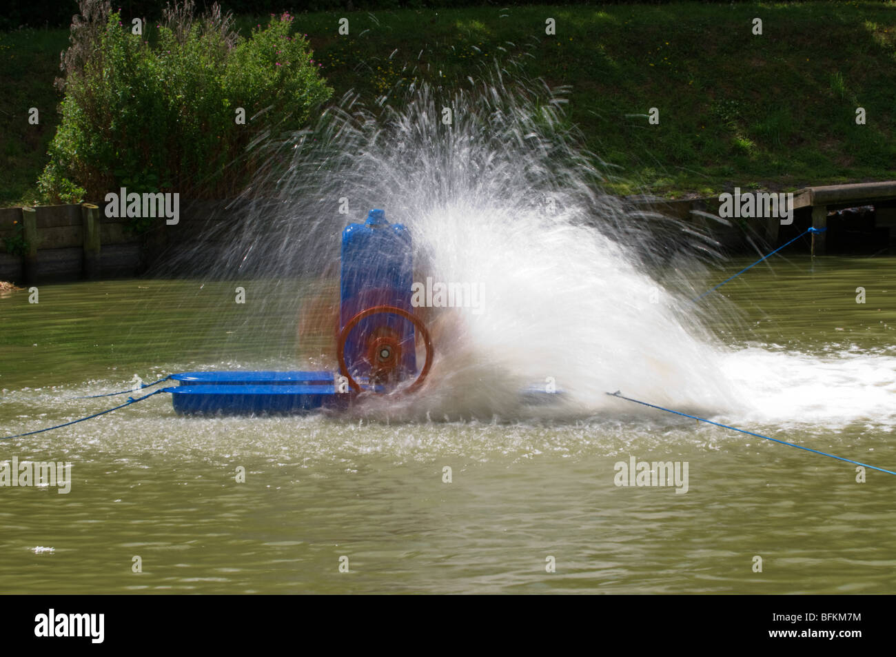 Oxygenation hi-res stock photography and images - Alamy