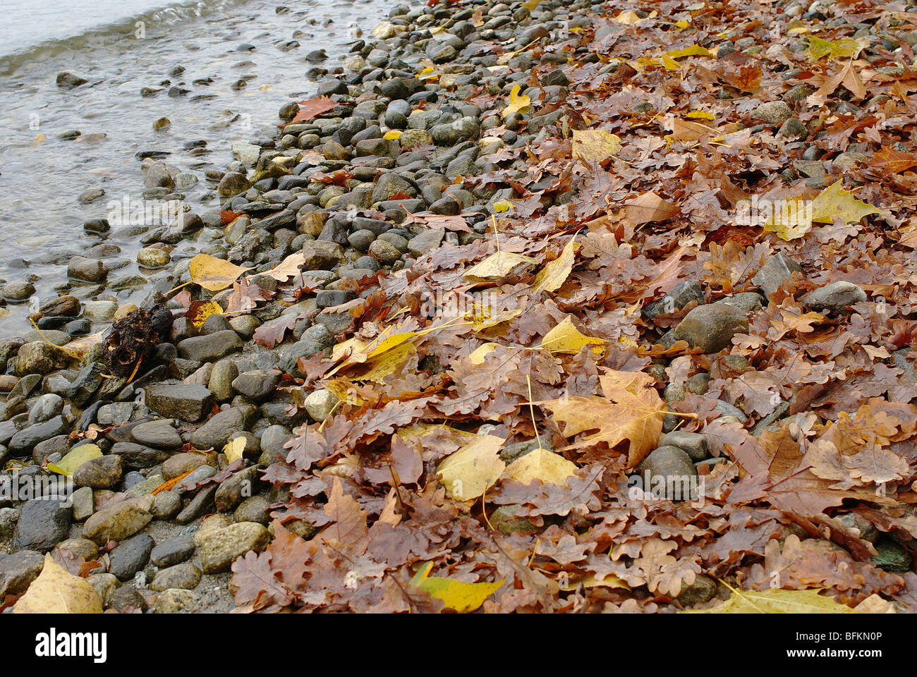 Ranco lake hi-res stock photography and images - Alamy