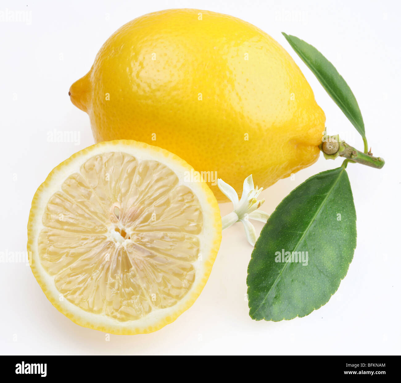 Citrus section hi-res stock photography and images - Alamy
