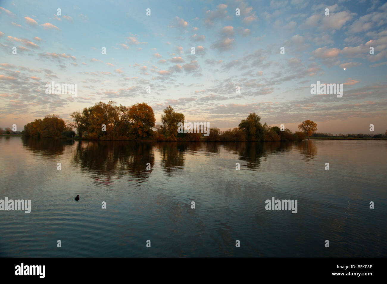 The river Maas near Maasbommel, The Netherlands Stock Photo - Alamy