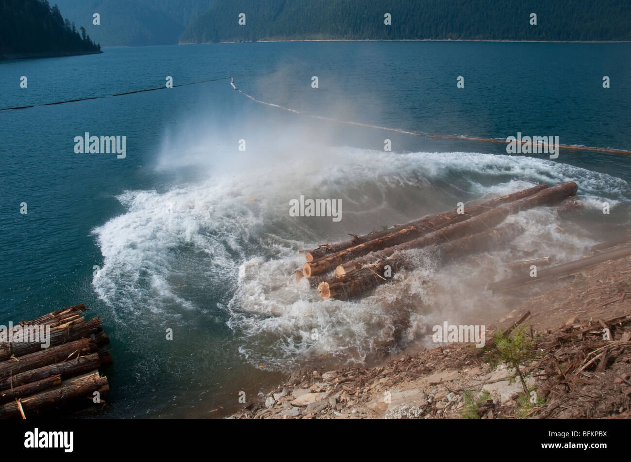 Logs sliding into water Stock Photo - Alamy