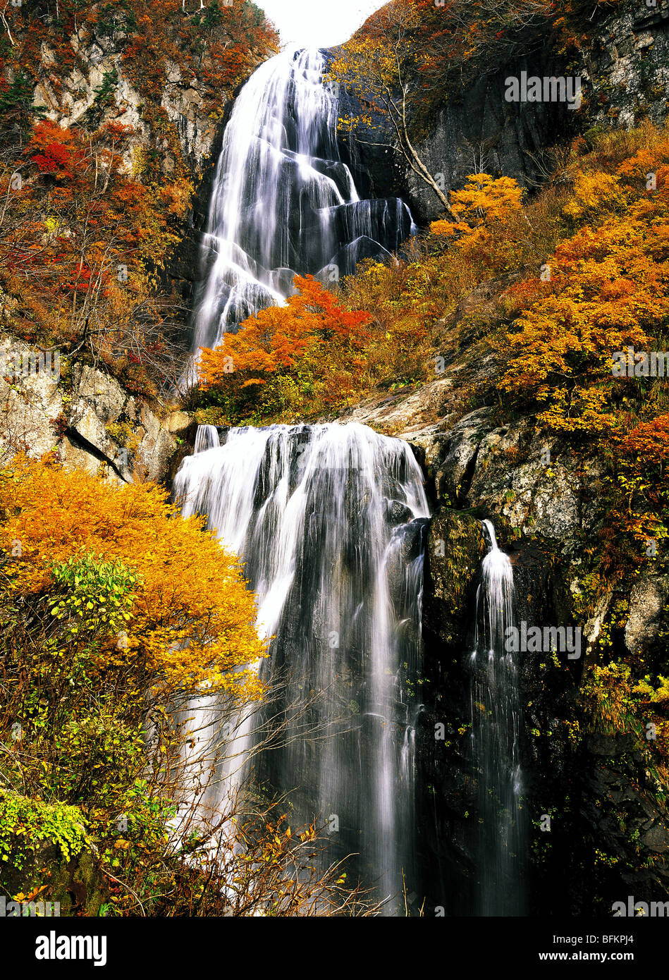 Waterfall with autumn leaves Akita Japan Stock Photo - Alamy