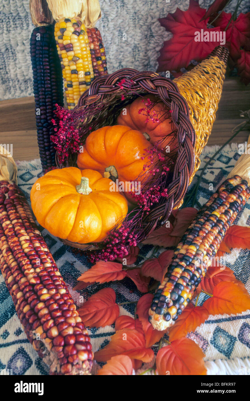 celebration season cornucopia feast plenty thanksgiving still life ...