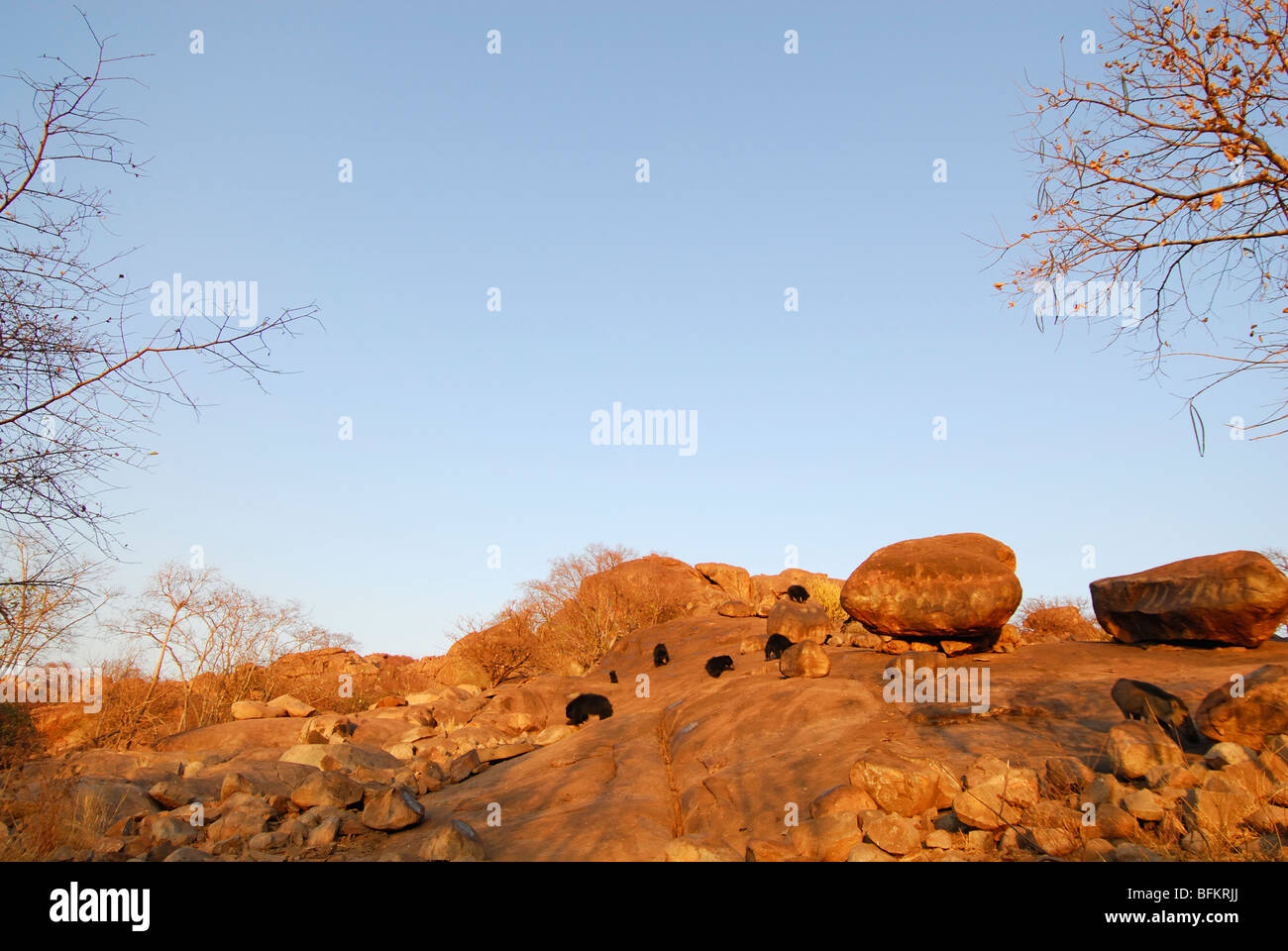 Daroji sanctuary hi-res stock photography and images - Alamy