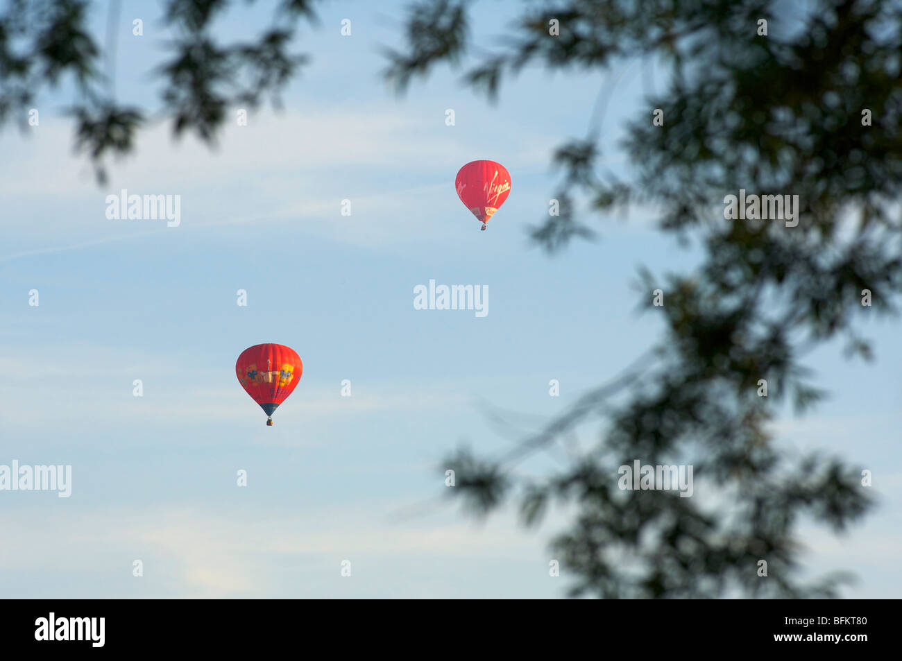 Hot air balloons in a summer sky Stock Photo - Alamy
