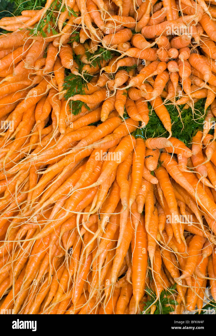 Bunches of carrots on a stall at a farmers market Stock Photo - Alamy