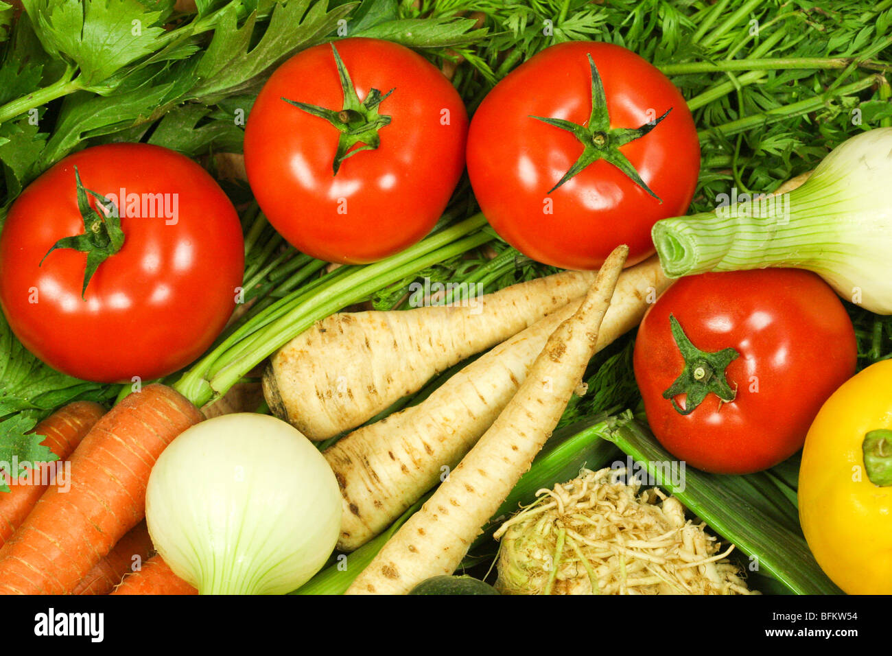 Cornucopia of vegetables hi-res stock photography and images - Alamy