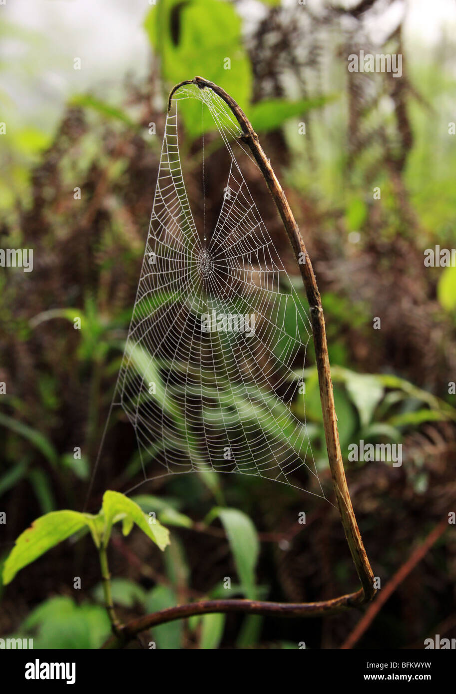 Aa hi-res stock photography and images - Alamy