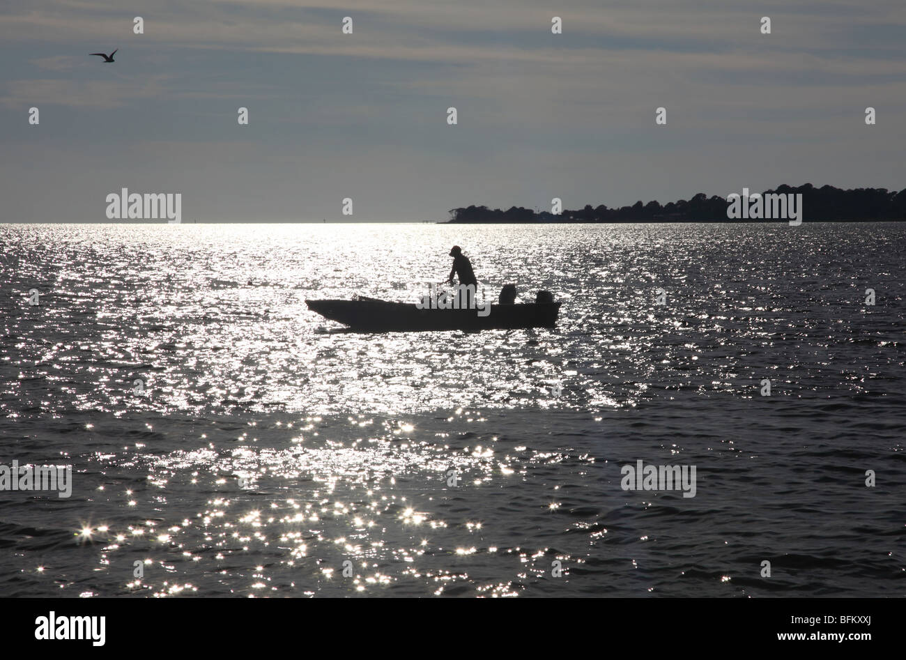 Fisherman checking his traps in Cedar Key, Florida, USA Stock Photo - Alamy