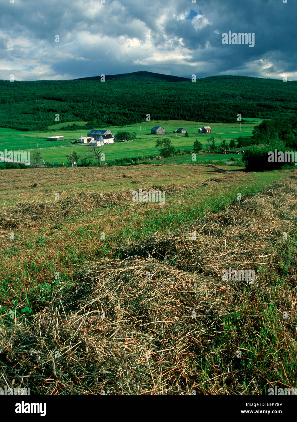 Farm field, end of the day Stock Photo - Alamy