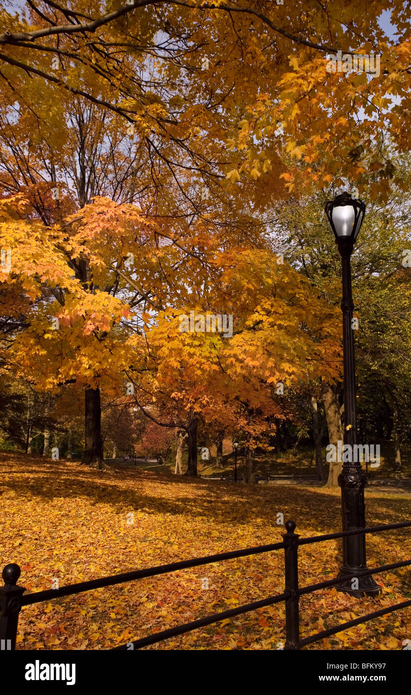 Park fixture hi-res stock photography and images - Alamy