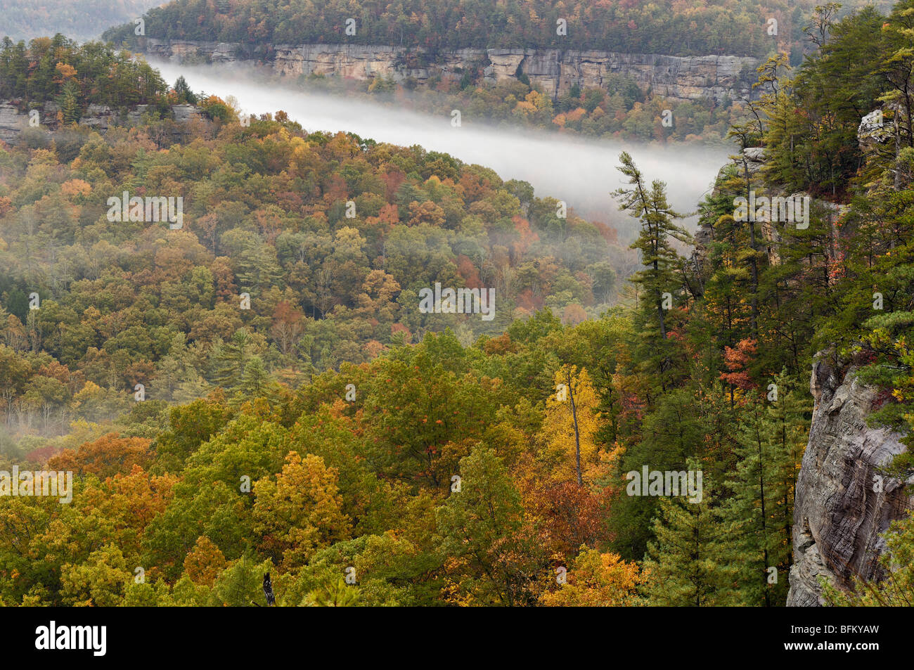 Red River Gorge Kentucky High Resolution Stock Photography and Images ...