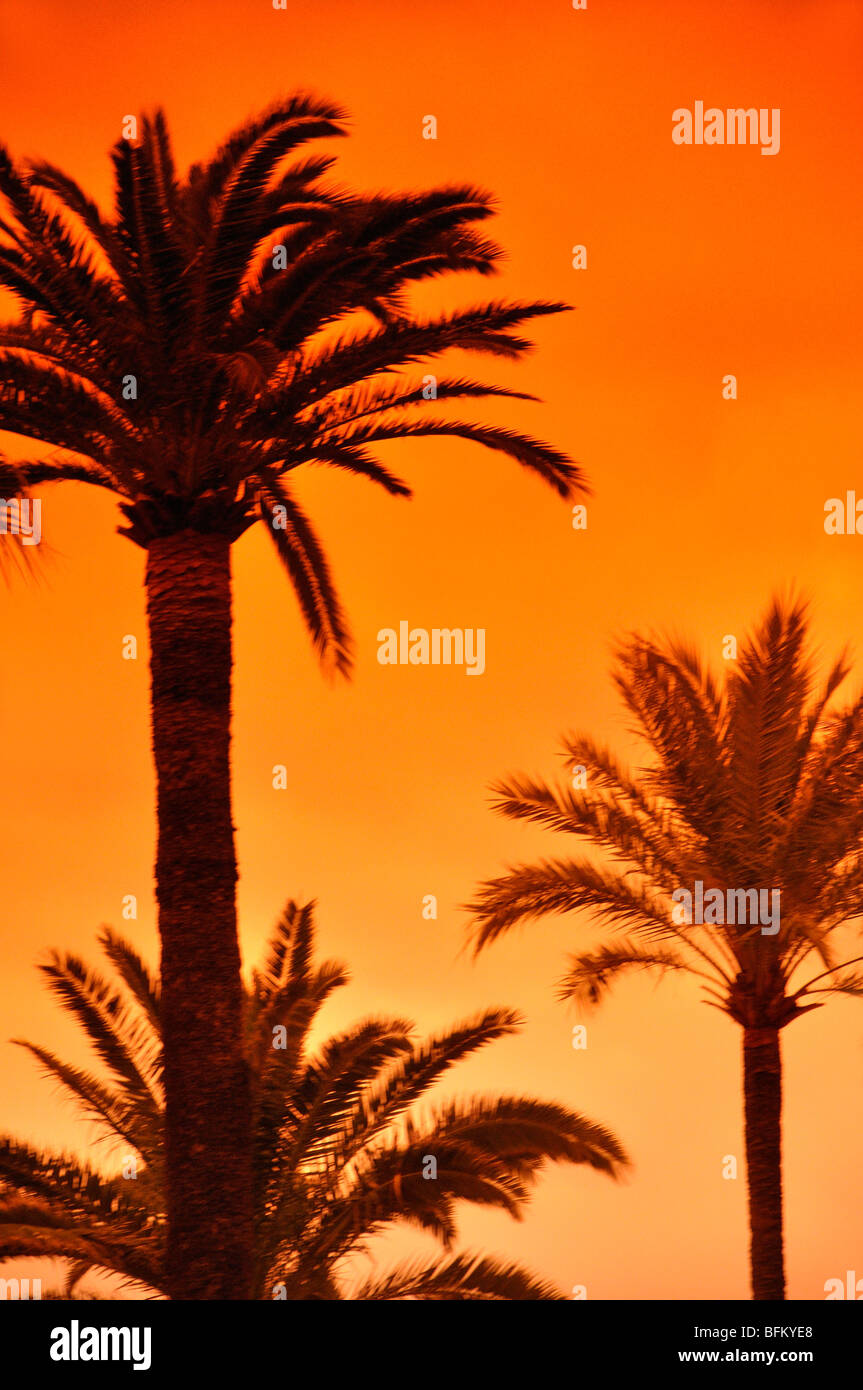 Hawaii sunset orange hi-res stock photography and images - Alamy