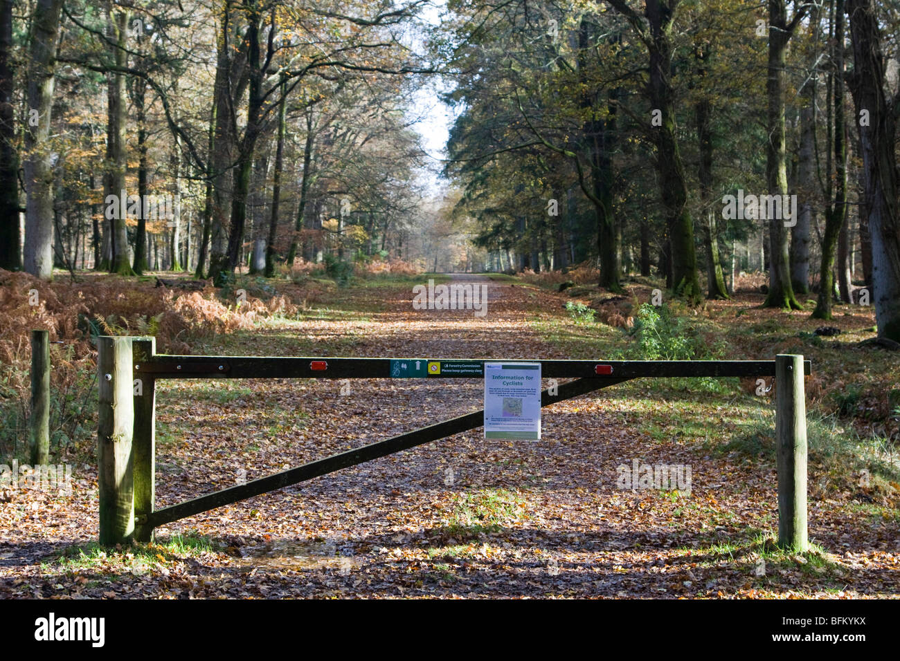 cycle route closed works in progress sign autumn in the new forest ...
