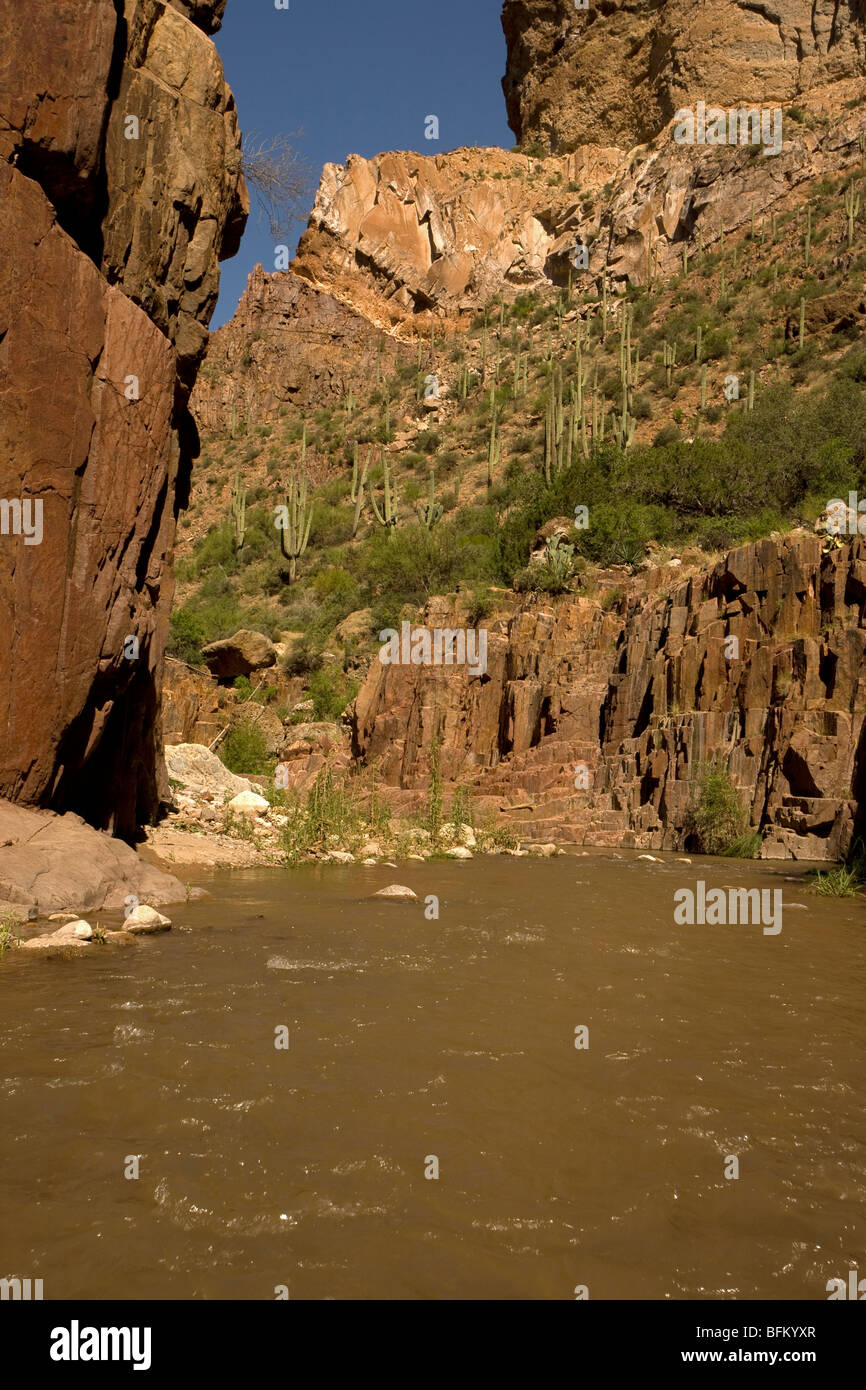 Aravaipa Canyon Wilderness - Cliffs and creek - Located about 50 miles ...