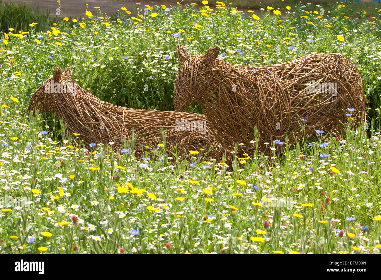 Willow sheep in wildflower meadow, England UK Stock Photo - Alamy