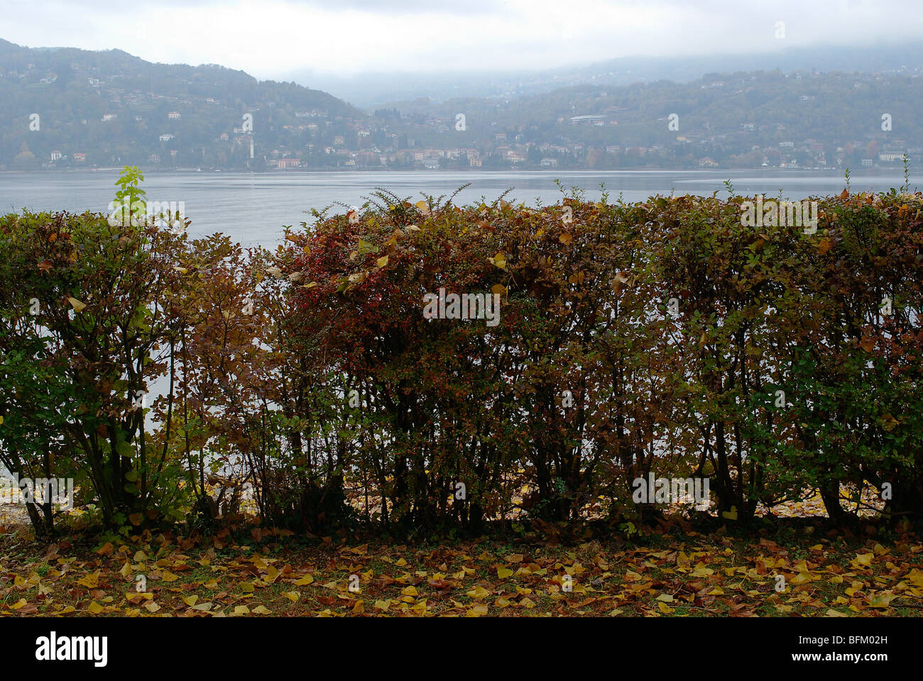 Ranco lake hi-res stock photography and images - Alamy