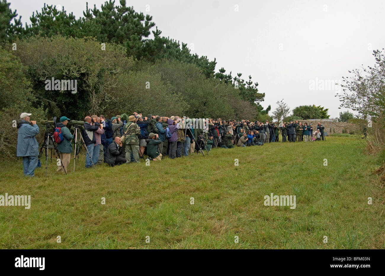Crowds flock to rare bird hi-res stock photography and images - Alamy