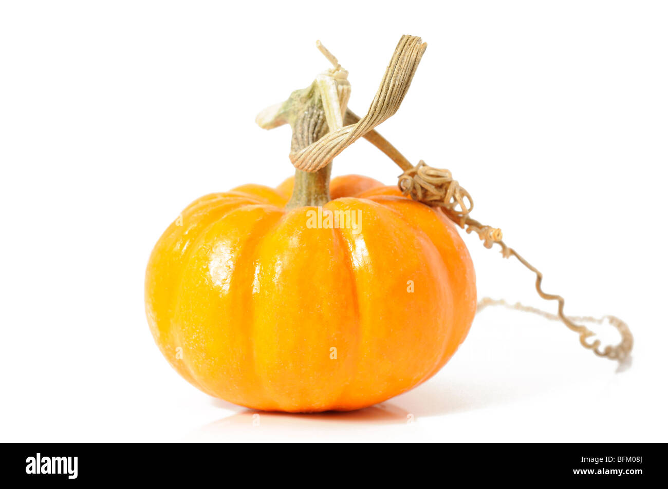 Orange and white gourd hi-res stock photography and images - Alamy