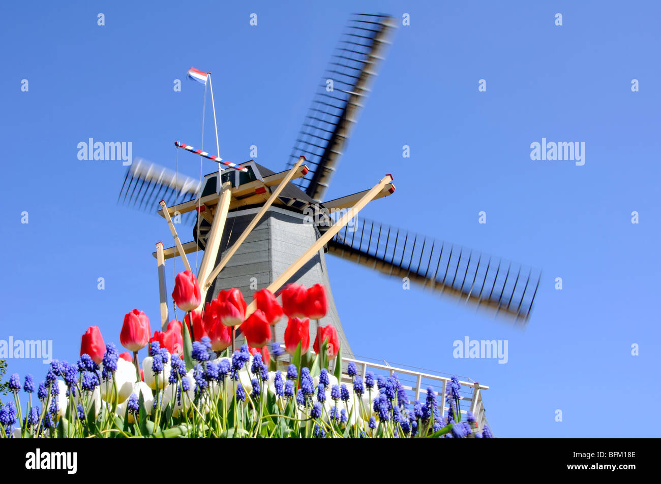 Dutch windmill, Holland Stock Photo - Alamy