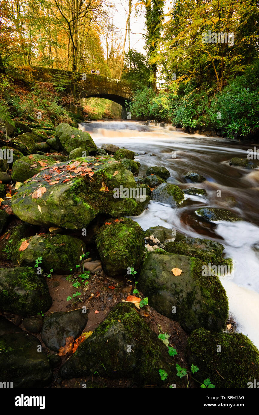 Autumnal image of Craufurdland water flowing under bridge in Dean ...
