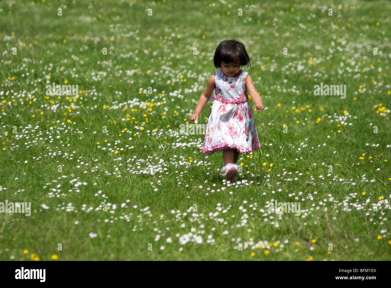 Wild meadow walk uk hi-res stock photography and images - Alamy