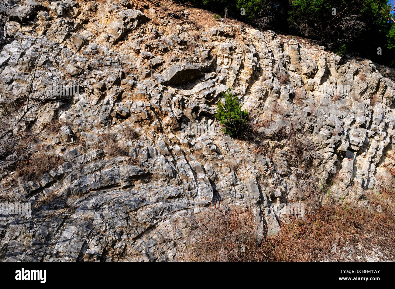 Folds in limestone, Oklahoma, USA Stock Photo - Alamy
