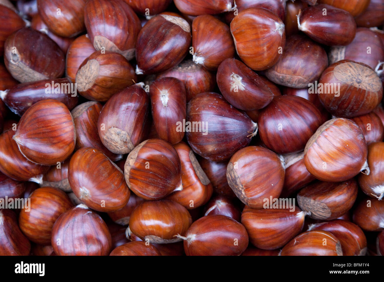 Sweet chestnuts hi-res stock photography and images - Alamy