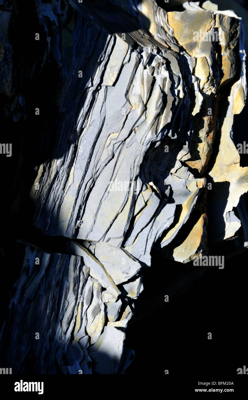 Organic rich shale rock, Oklahoma, USA Stock Photo - Alamy