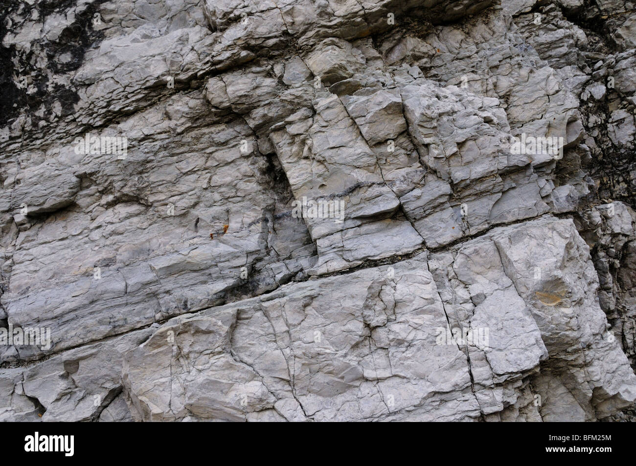 Limestone outcrop, Oklahoma, USA Stock Photo - Alamy